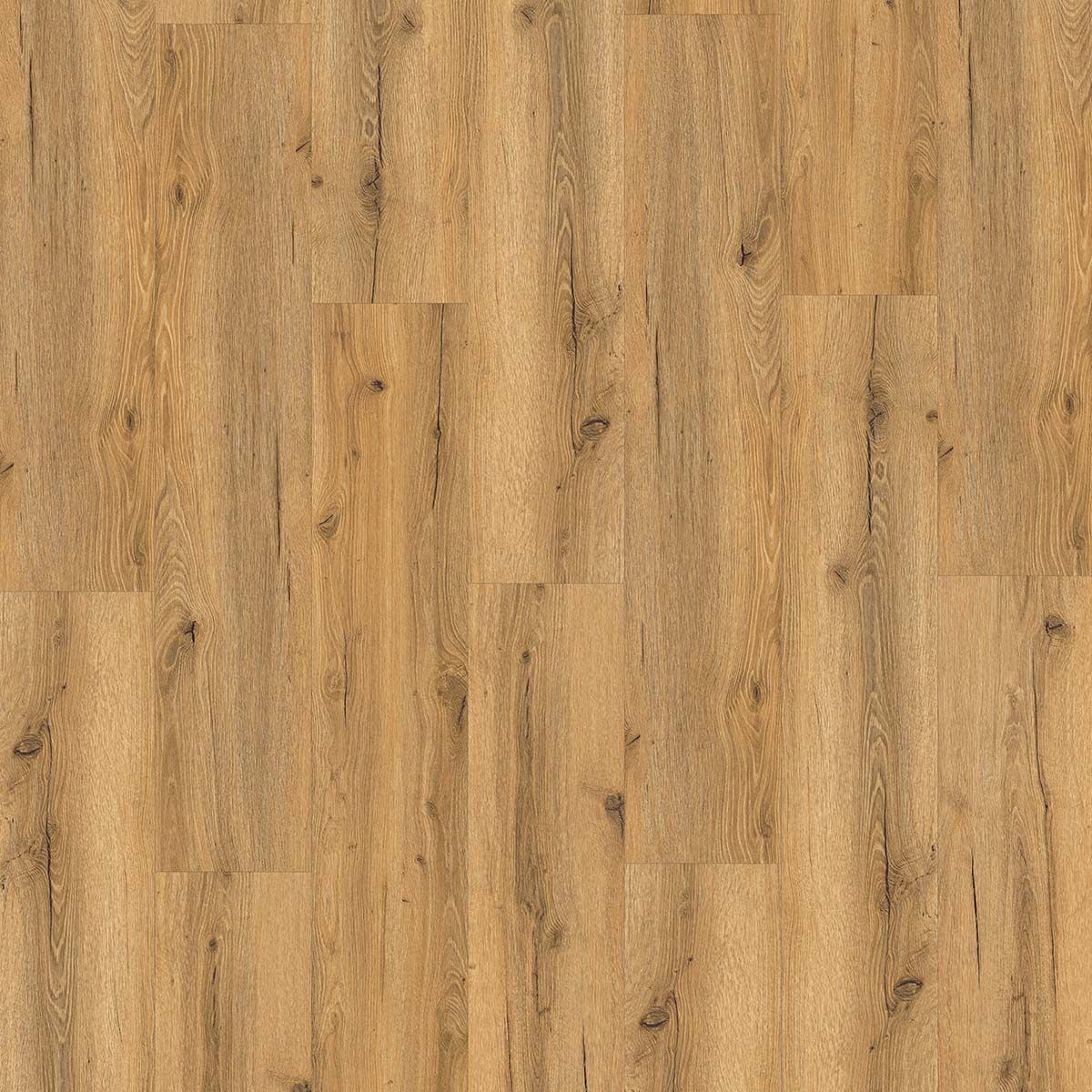 All-in Click-Premium Rigid-Vinyl Sommereiche NEW XL 5,5/0,5mm ...